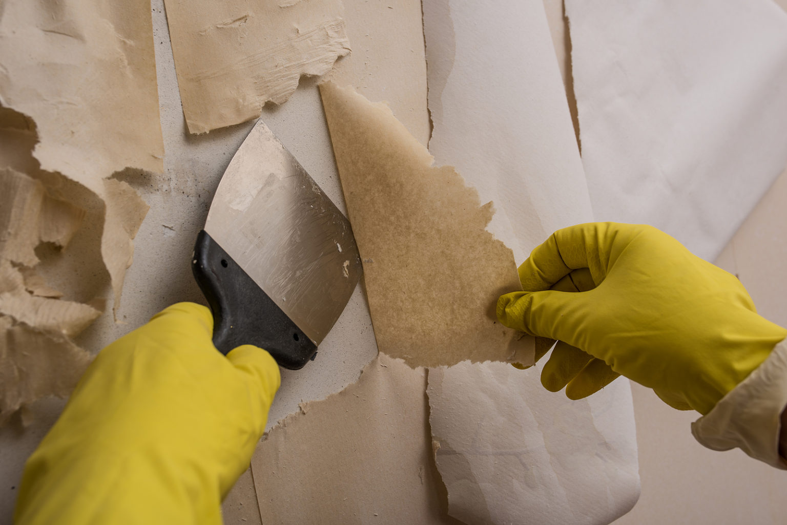 How to Choose the Right Wallpaper Remover | Drywall by Renso